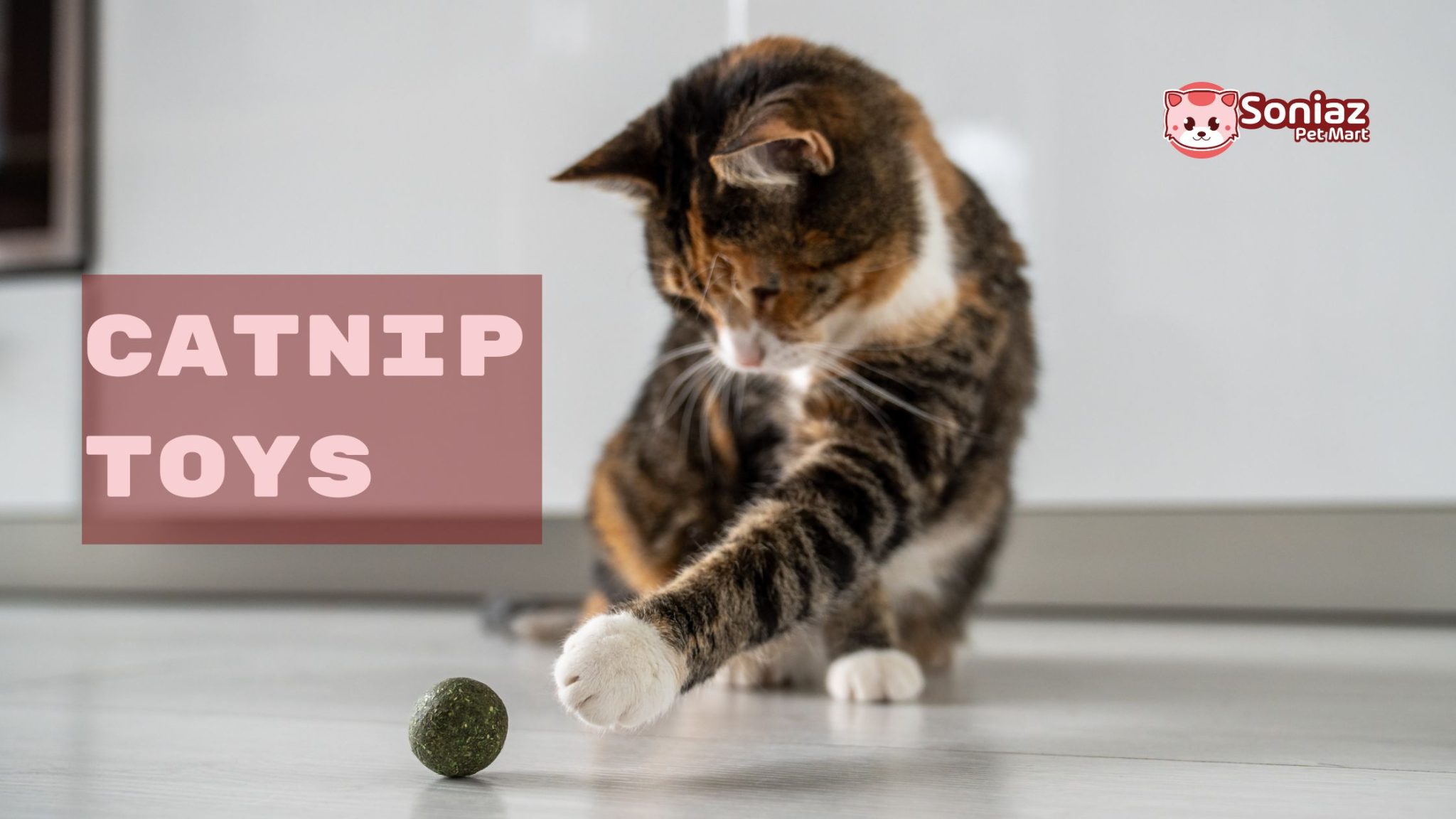 Eco Friendly and Durable | The Best Catnip Toys for Cats